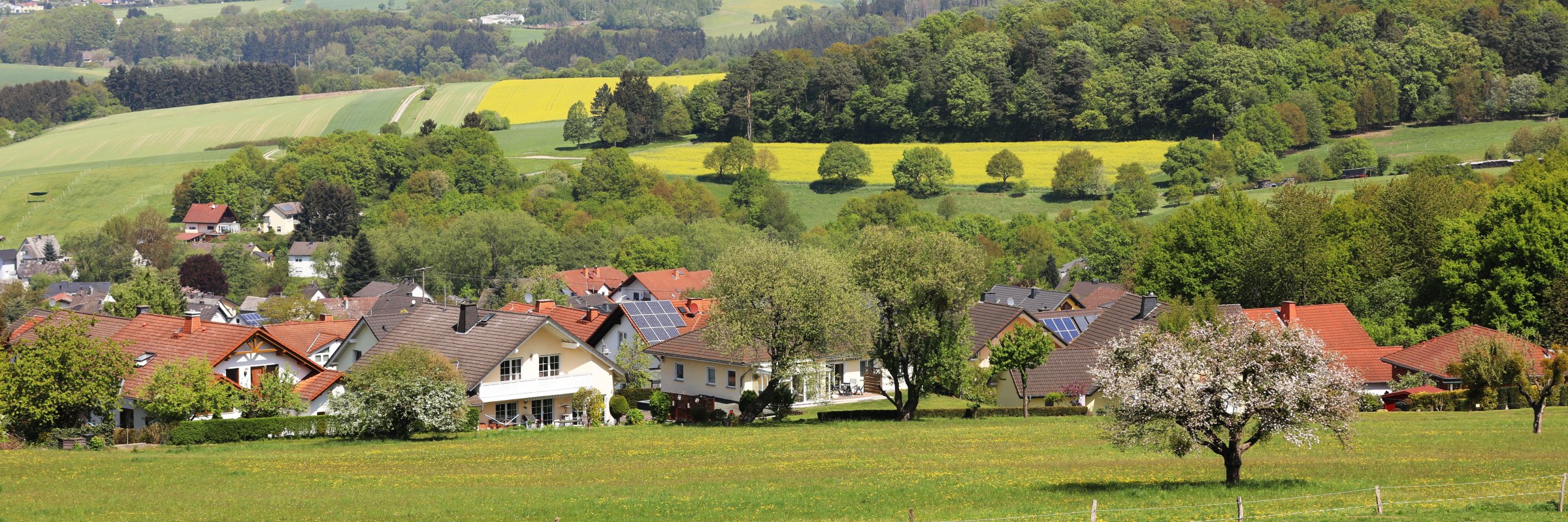 Holler | VG Montabaur